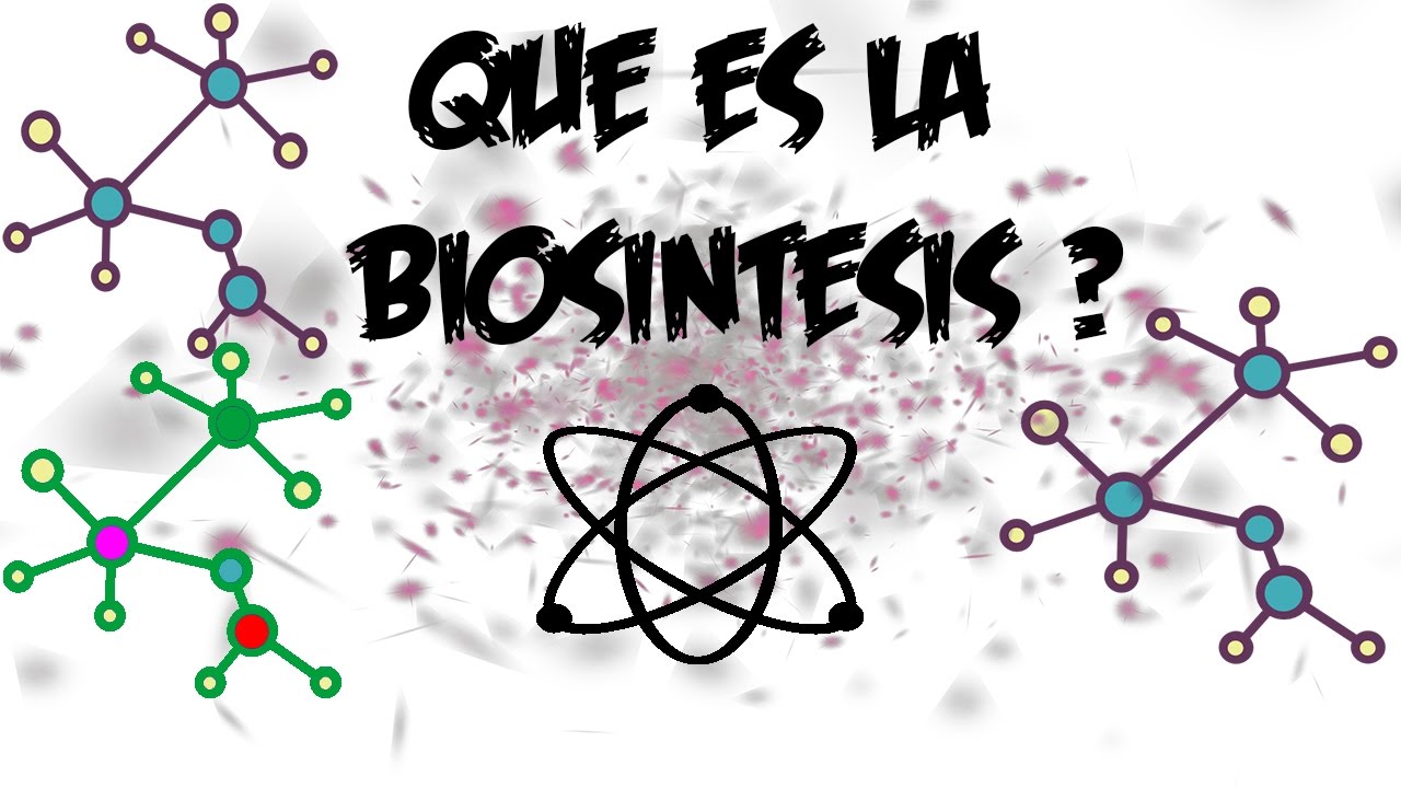 QUE ES LA BIOSINTESIS ? - YouTube