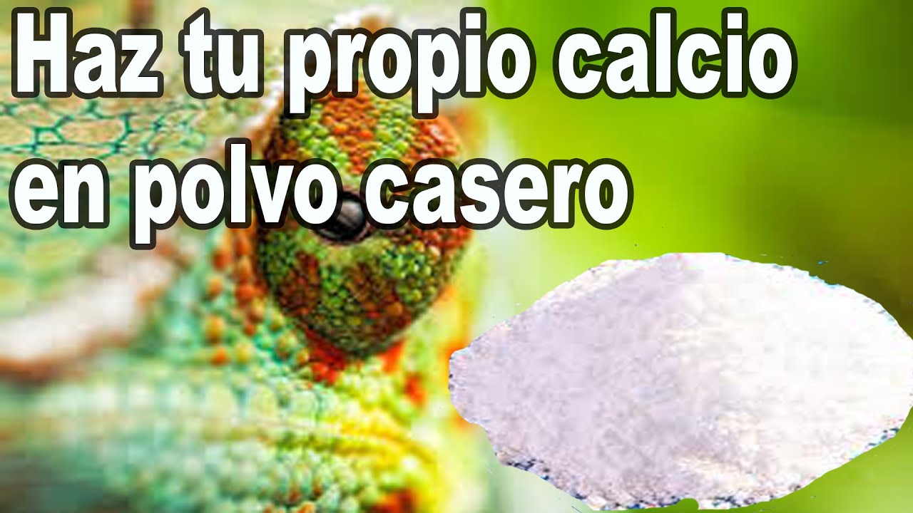 Como hacer calcio en polvo - YouTube