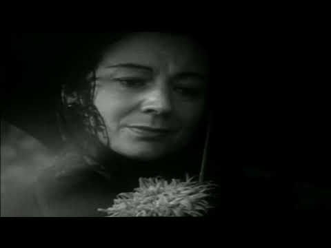 Dead Crush - Apocalypse Sentimental RMR 009