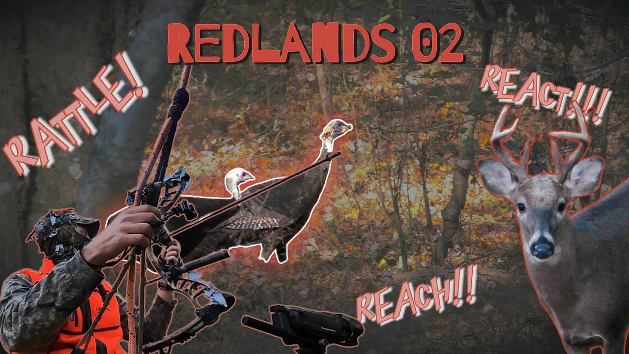 🌲 Georgia Public Land Redlands Ep. 2: Hunters, Wild Turkeys & Close ...