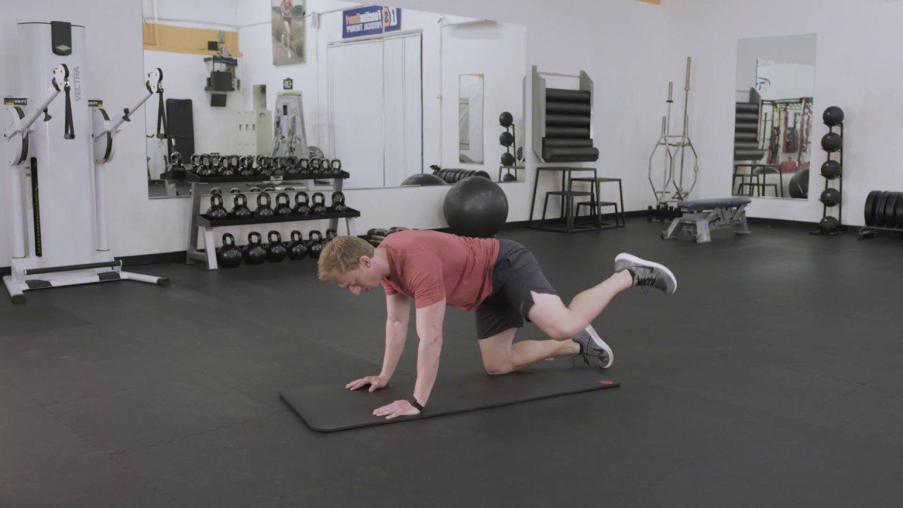 Quadruped - Hip Circles: Backward - YouTube