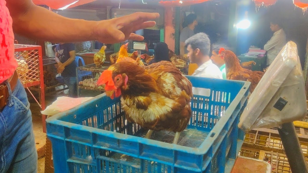 Amazing Chicken Cutting Skills In Expert Chicken Cutter - YouTube