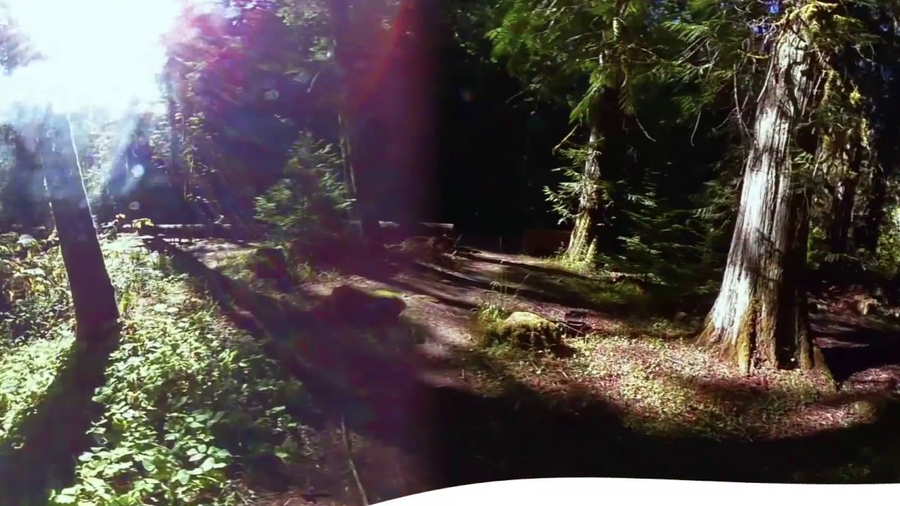 Dosewallips Campground Olympic National Park - 360 Video Virtual Tour ...