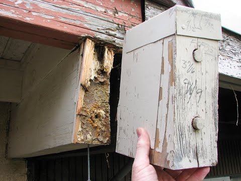 How To Repair Rotted Wood Beams