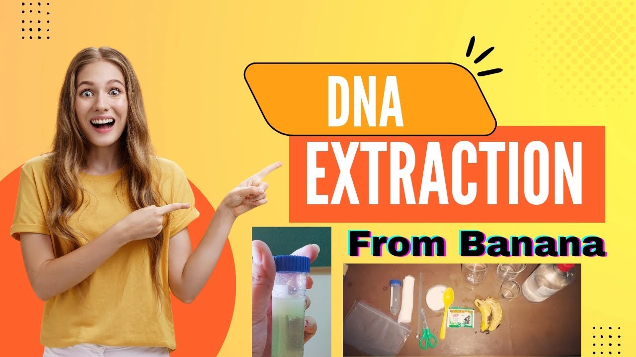 DNA Extraction From Banana.🧬 Genetics Lab work. @Dr.HadiBux - YouTube