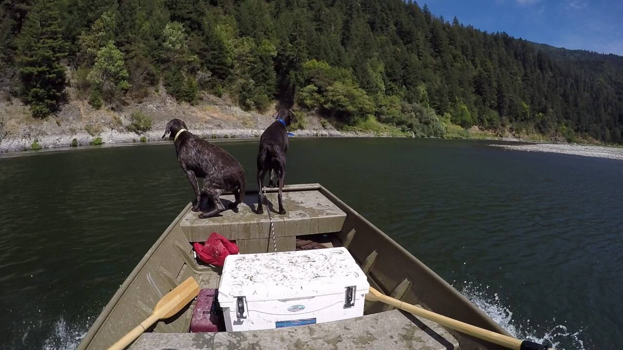 Vanguard 23HP beavertail mud motor KLAMATH, CA on G3 1448 - YouTube