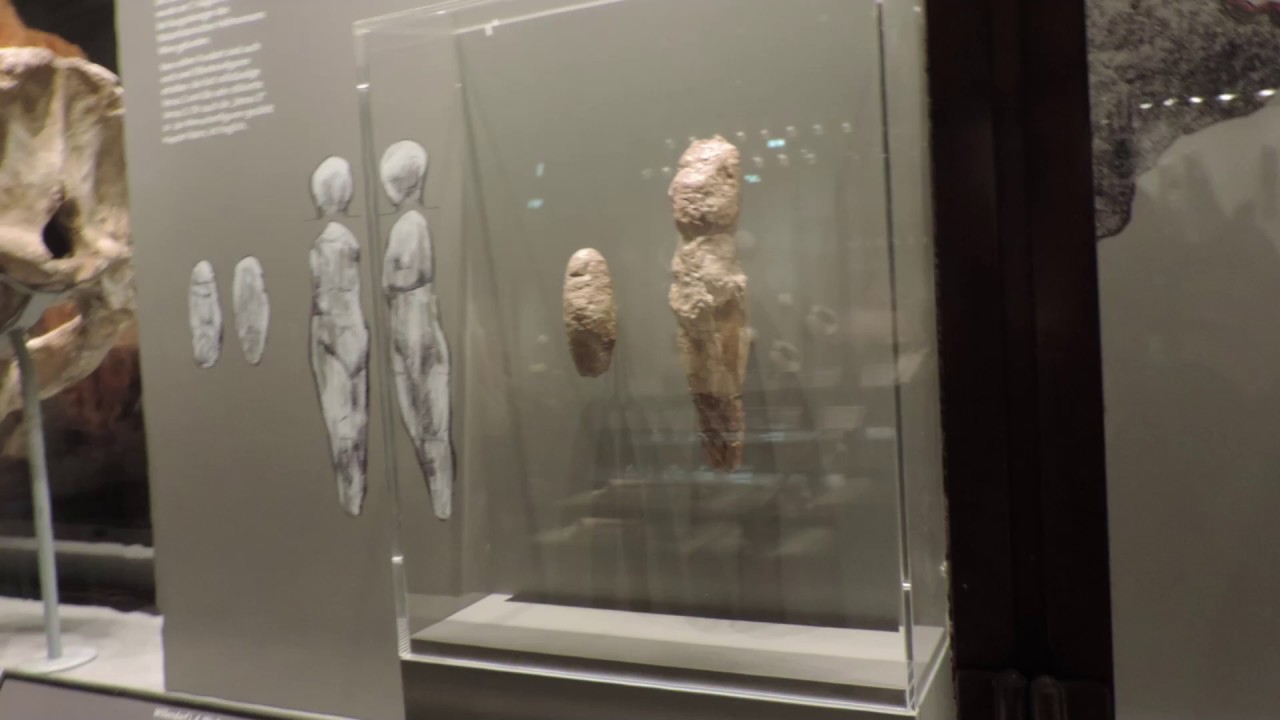 "Royal", "grandiose", "bodily", and "fat" venus conceptualization ...