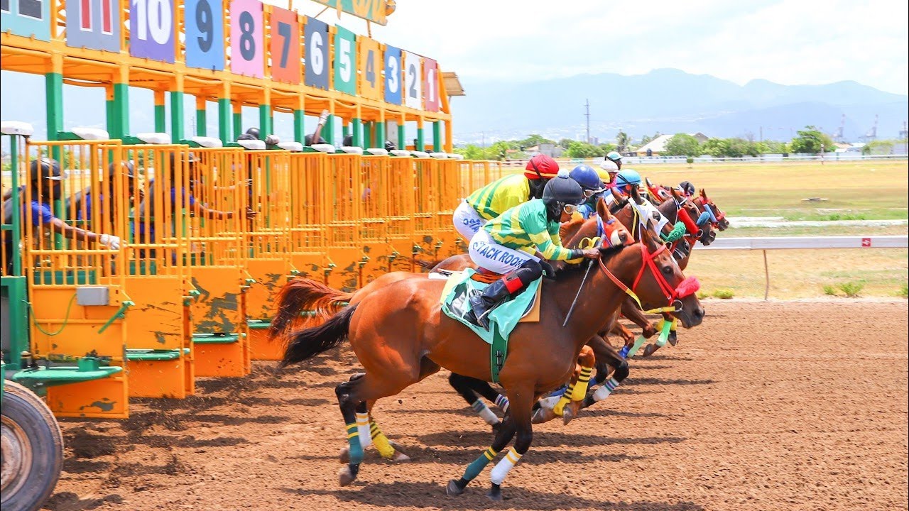 Caymanas Park Live Racing