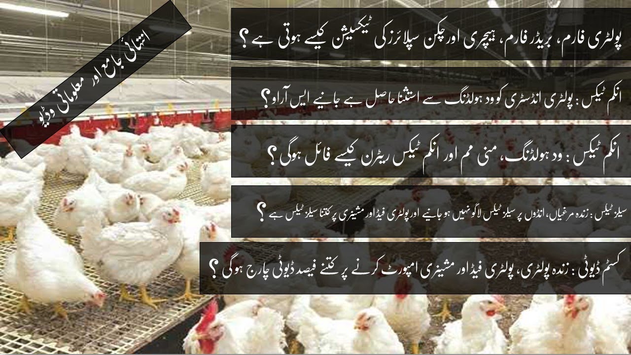 Comprehensive Taxation of Poultry Sector in Pakistan - YouTube