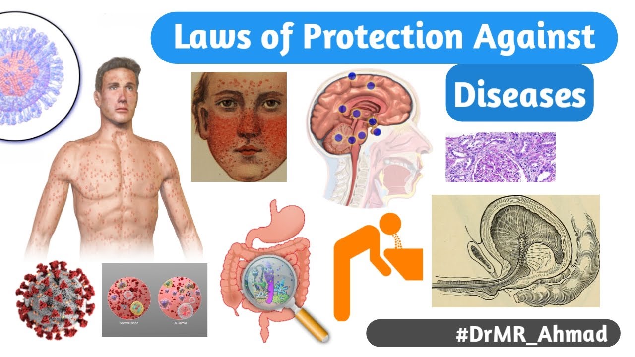 Laws of Protection Against Diseases || Laws of Immunity Against ...