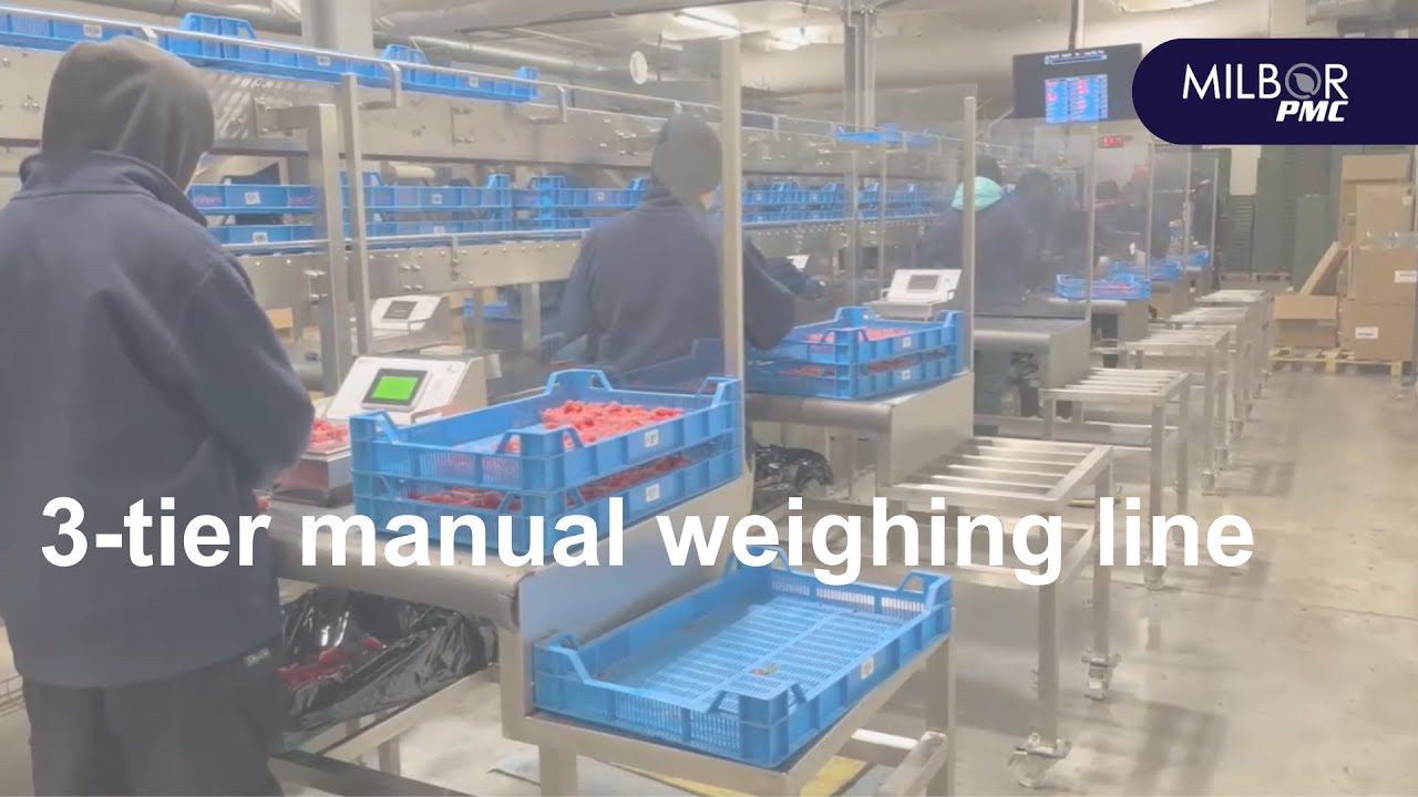 3-tier manual weighing line: efficiency at every level - YouTube