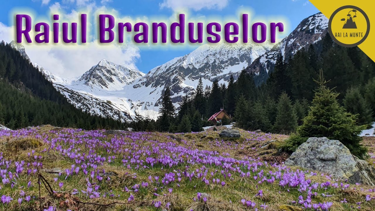 Raiul Branduselor - Valea Sambetei - traseu de la complexul Sambata de ...