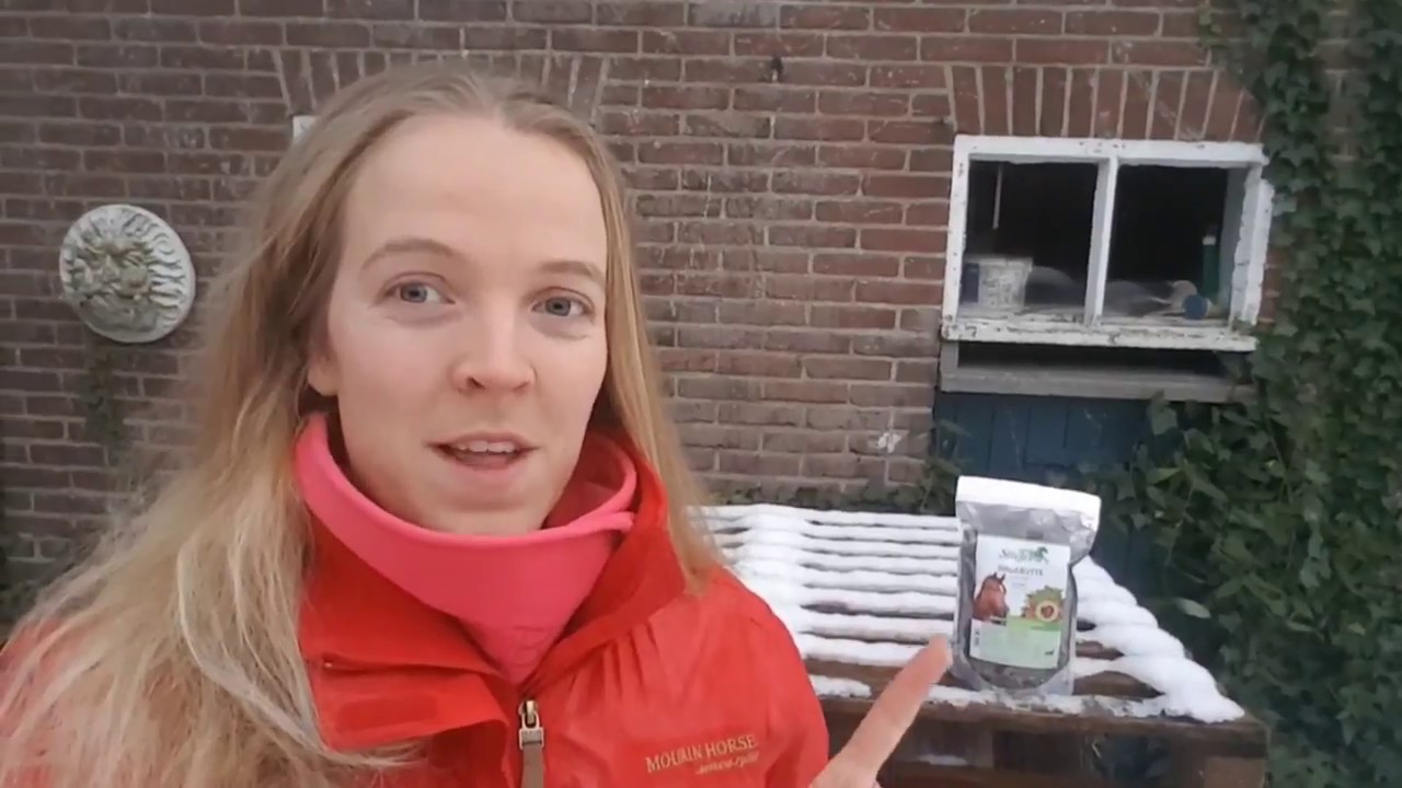 Lusten paarden rozenbottels | Vlog2 | Fenne van Becidor - YouTube