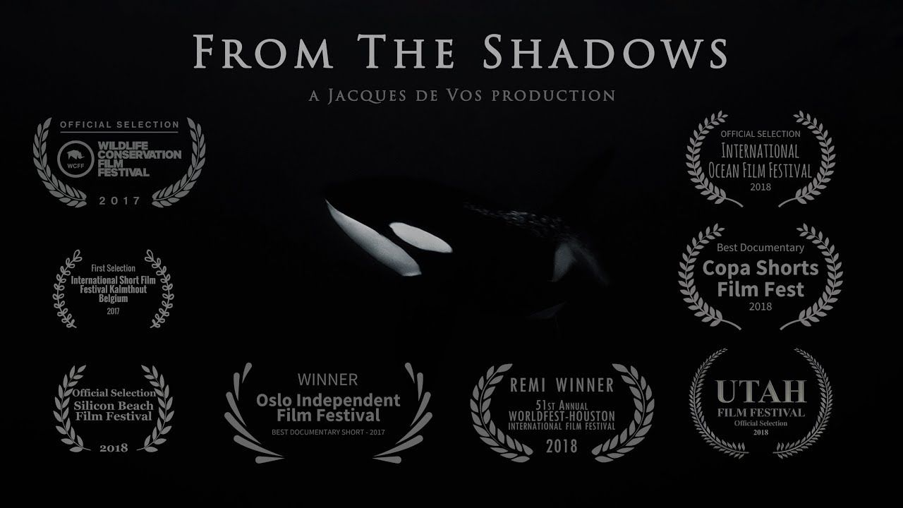From The Shadows - Orca Documentary Trailer - YouTube