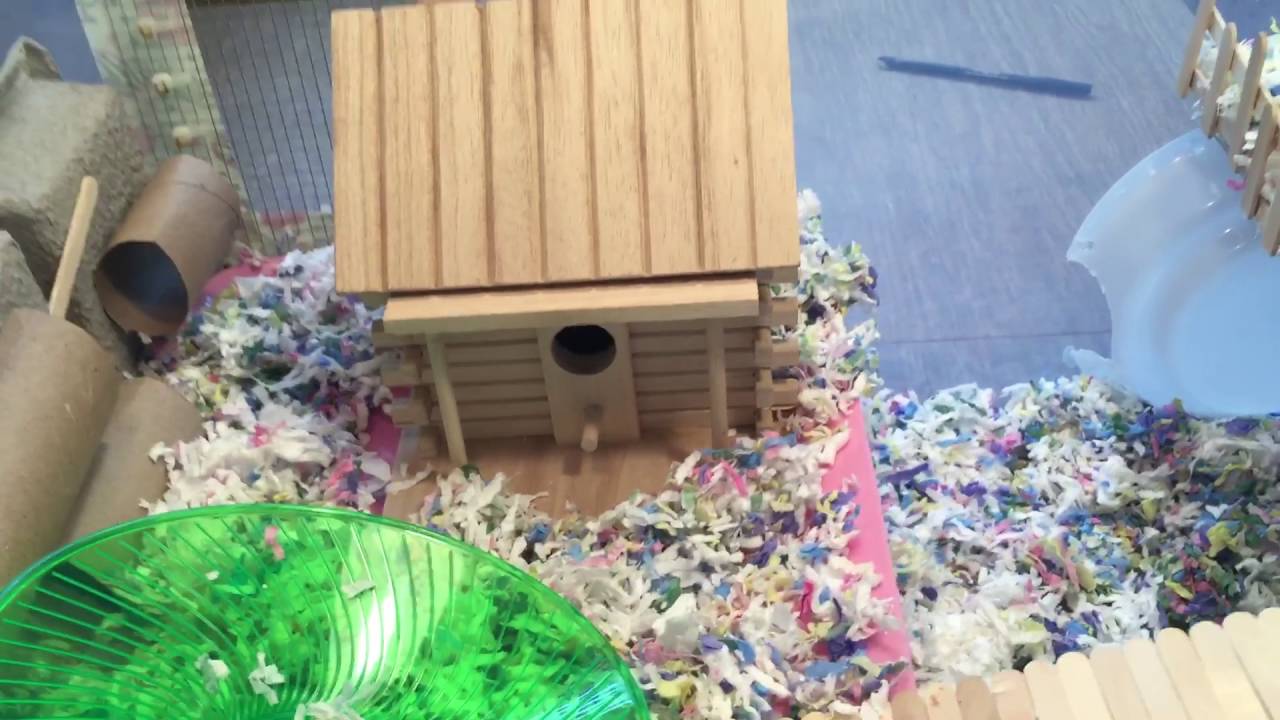 Mouse Cage Set Up Youtube