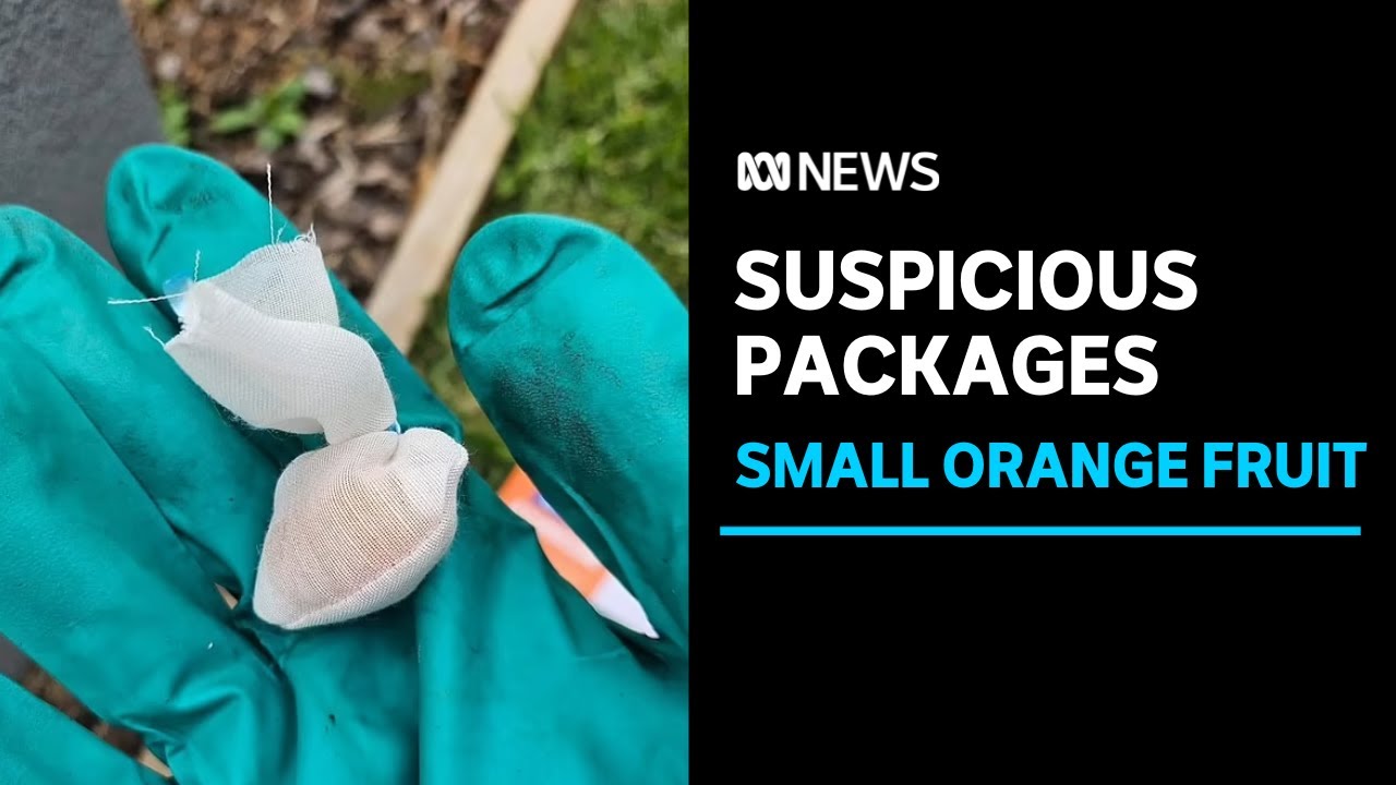 Suspicious orange fruit packages left in Sydney letterboxes | ABC News ...