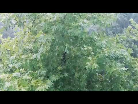Gözyaşlarıma! BENDEYAR