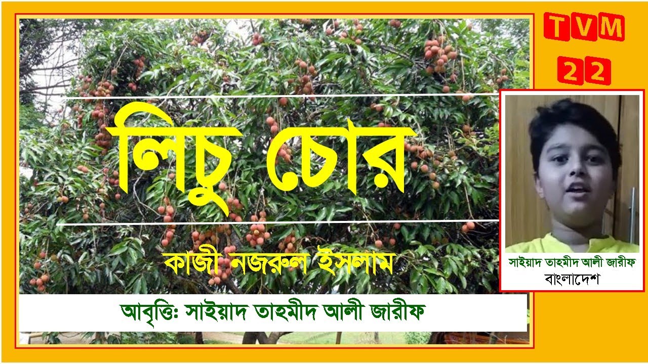 TVM 22 লিচু চোর আবৃত্তি সাইয়াদ তাহমীদ আলী জারীফ - YouTube