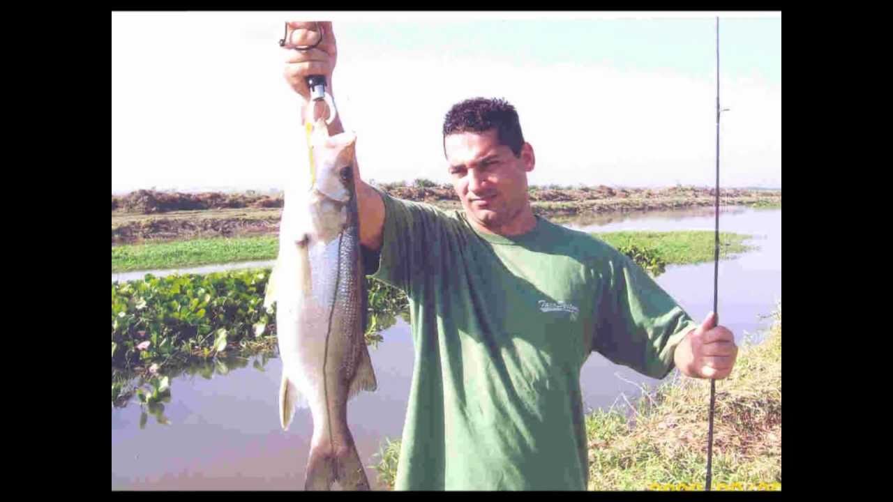 Grandes Robalos no Rio de Janeiro - YouTube