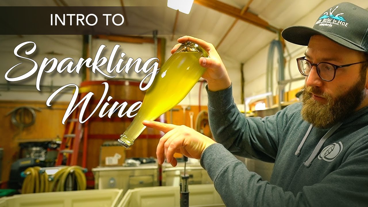 Learn the Basics of Sparkling Wine Production - YouTube