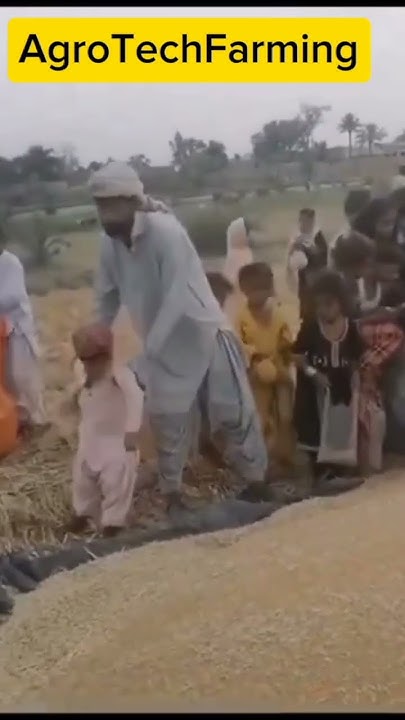 اُس زمانے میں برکت ھوا کرتی تھی جب زمیندار اس طرح ھوتے تھےاب نہ خیر خیرات ہے نہ ہی برکت ہے