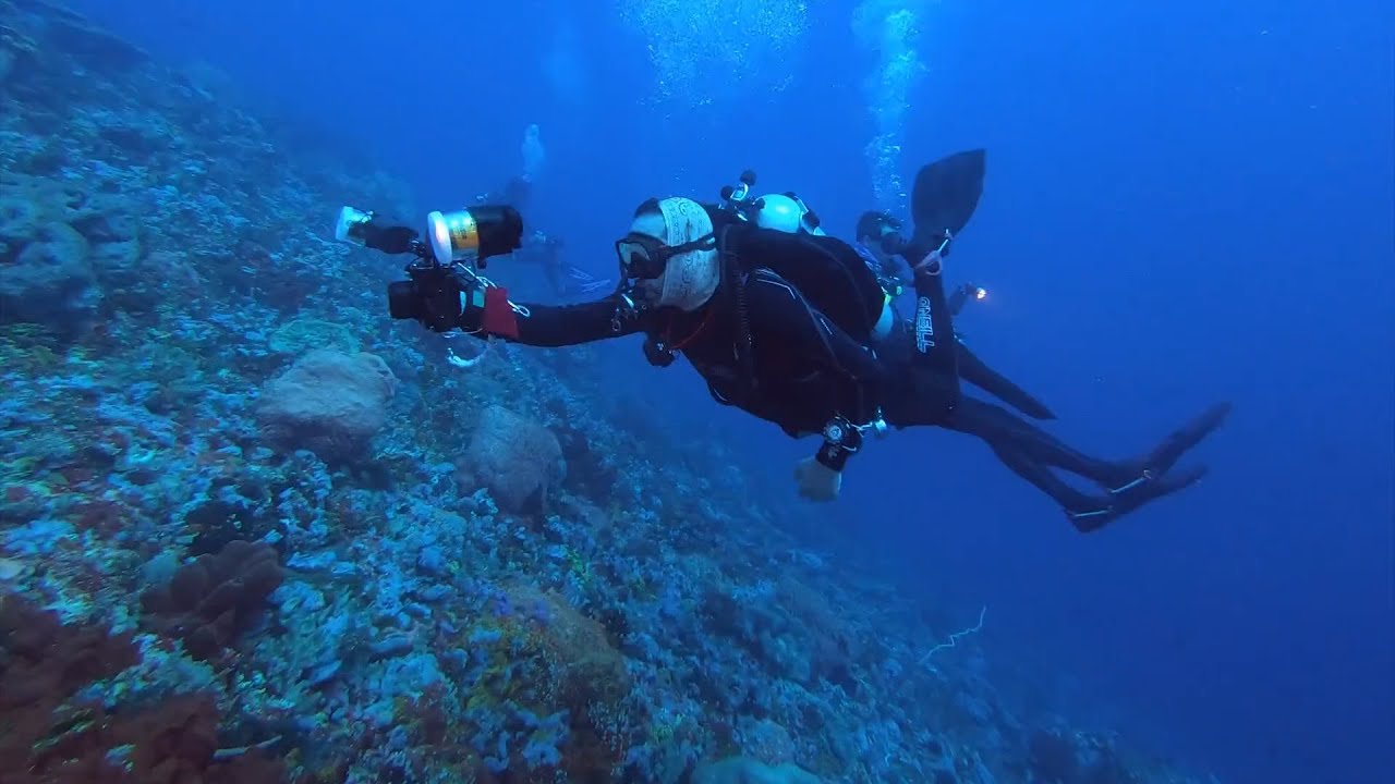 World Ocean Day: One ocean unites us - YouTube