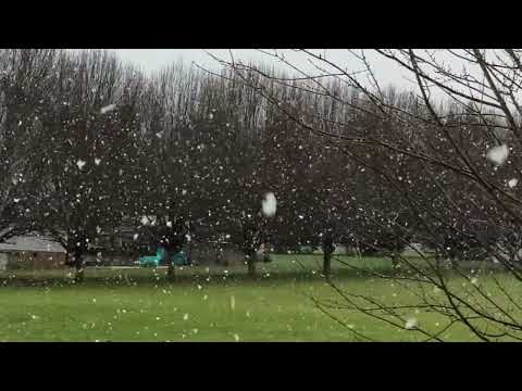 Indulge in 5 minutes of snowfall melody for a calming and stress ...