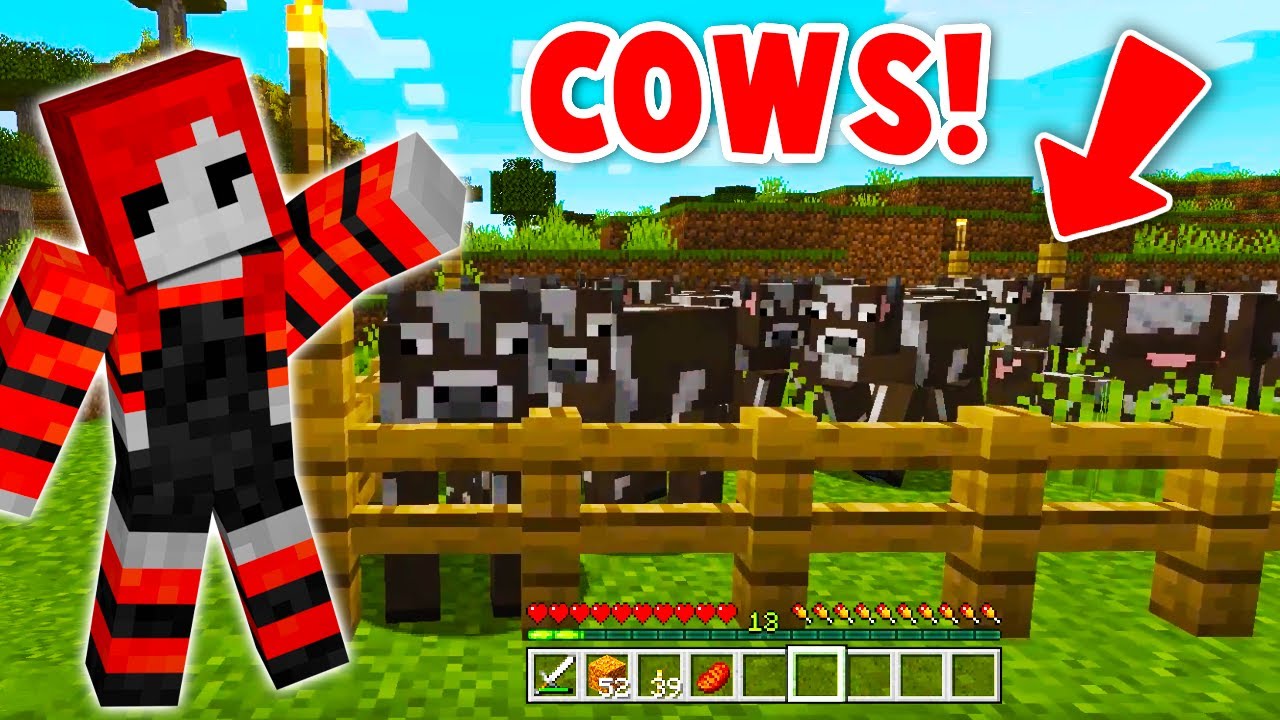 I Got COWS!!!!!!!!!! In Minecraft (PT 3) - YouTube