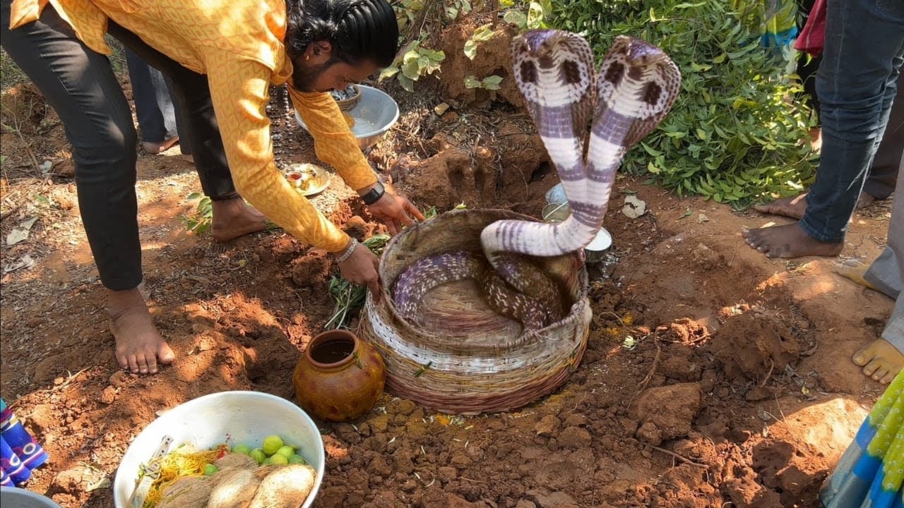 Yellamma panduga | Putta Bangaram Thechuta | Sri Renuka yellamma Putta ...