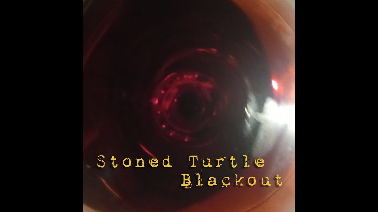 Stoned Turtle - Blackout (Official Audio w/ Lyrics) - YouTube