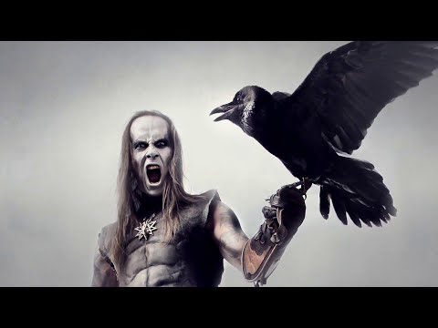 İLGİNÇ HAYVANLAR SERİSİ - KUZGUNLAR