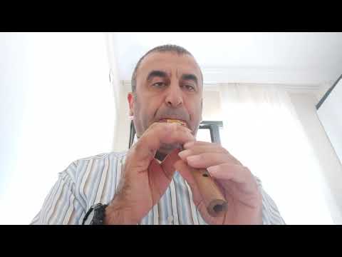 Diyar - Delalamın
