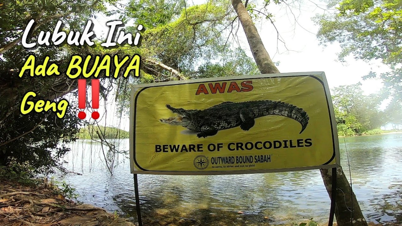 AWAS‼️Kalau Mancing Di Lubuk Ini | Ada Buaya Geng | Mancing Bottom Di ...