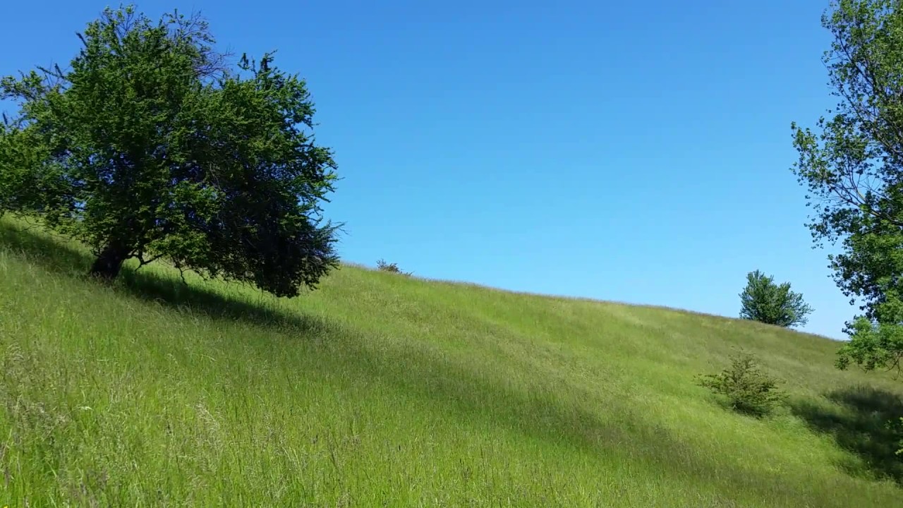 Calm Grassy Hills - YouTube