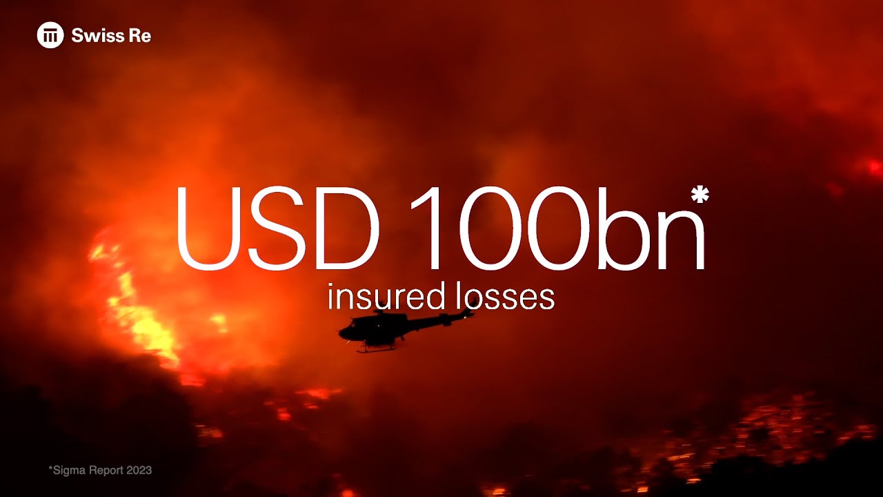 CatNet® data improves profitability for Golden Bear Insurance - YouTube