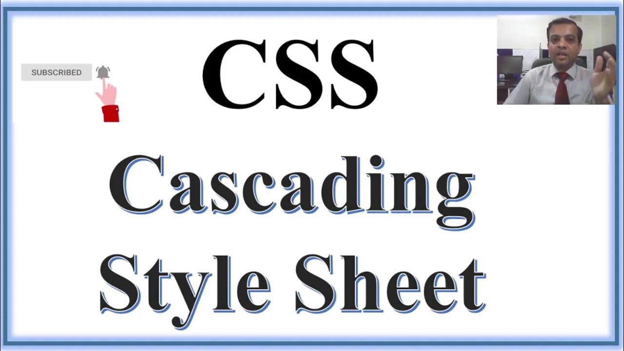 CSS || Cascading Style Sheets || Std 12 || Chapter 2 - YouTube
