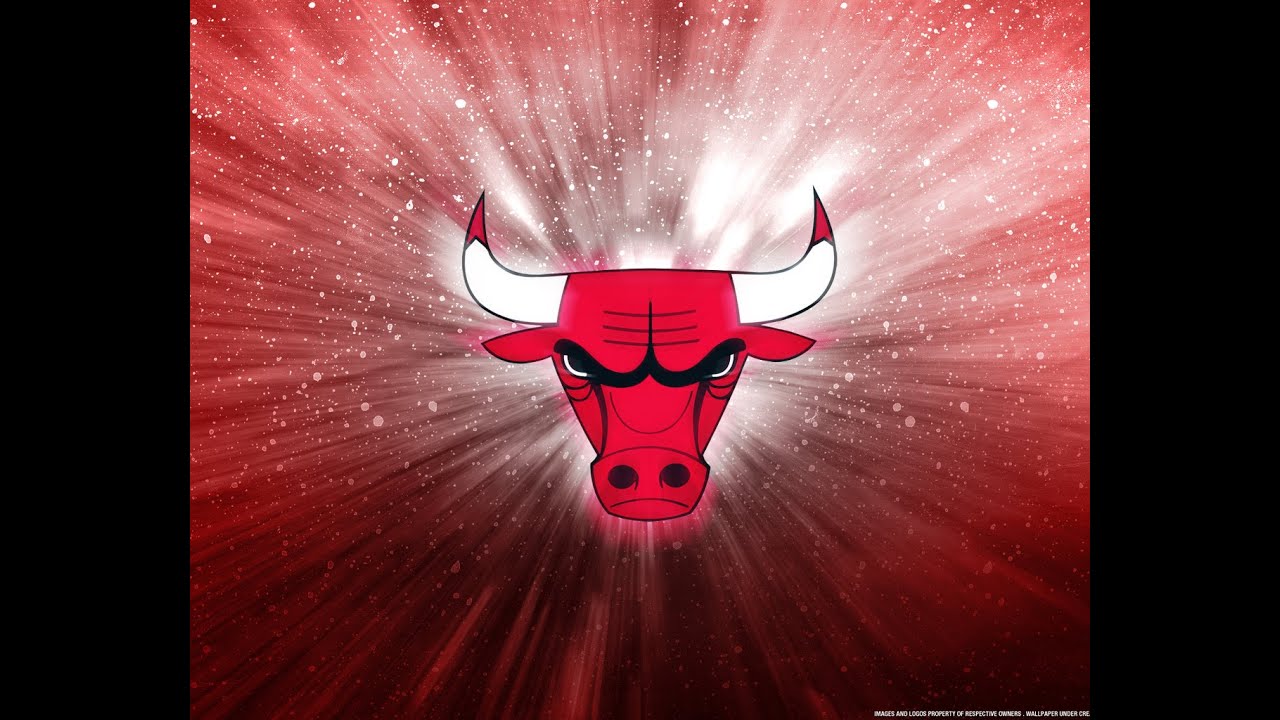 Chicago Bulls 2015 ''Bulls Nation'' - YouTube