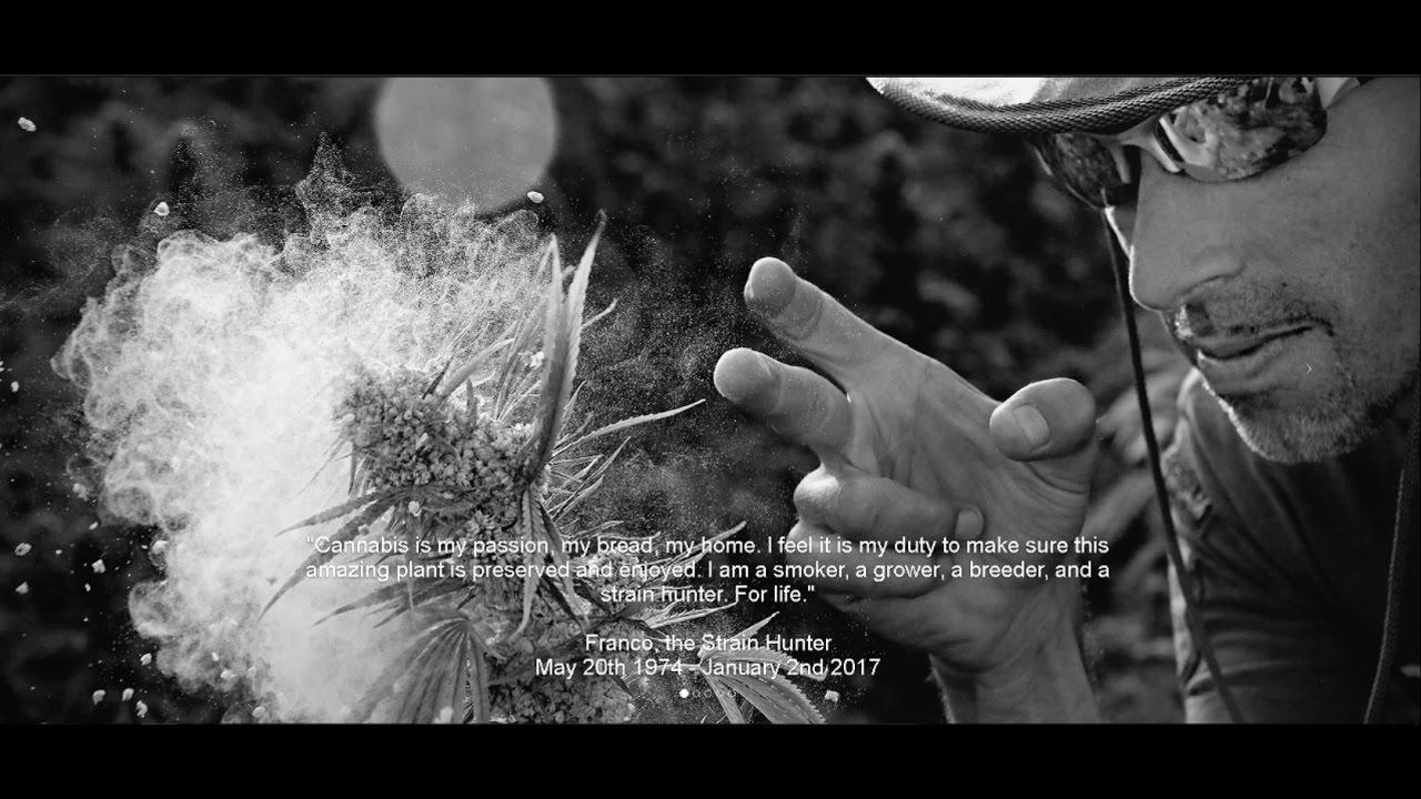 RIP Franco Loja, The Strainhunter (1974-2017) - YouTube