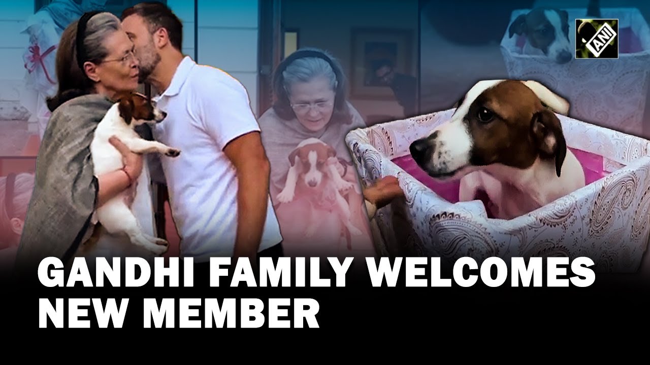 Noorie: Meet the new member of Gandhi family - YouTube