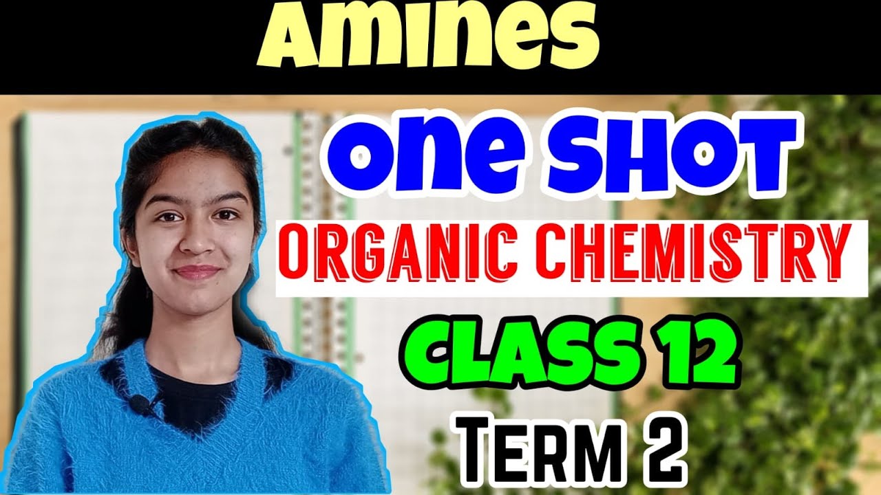 Amines One Shot TERM 2 Class 12| Organic Chemistry One Shot Term 2 ...