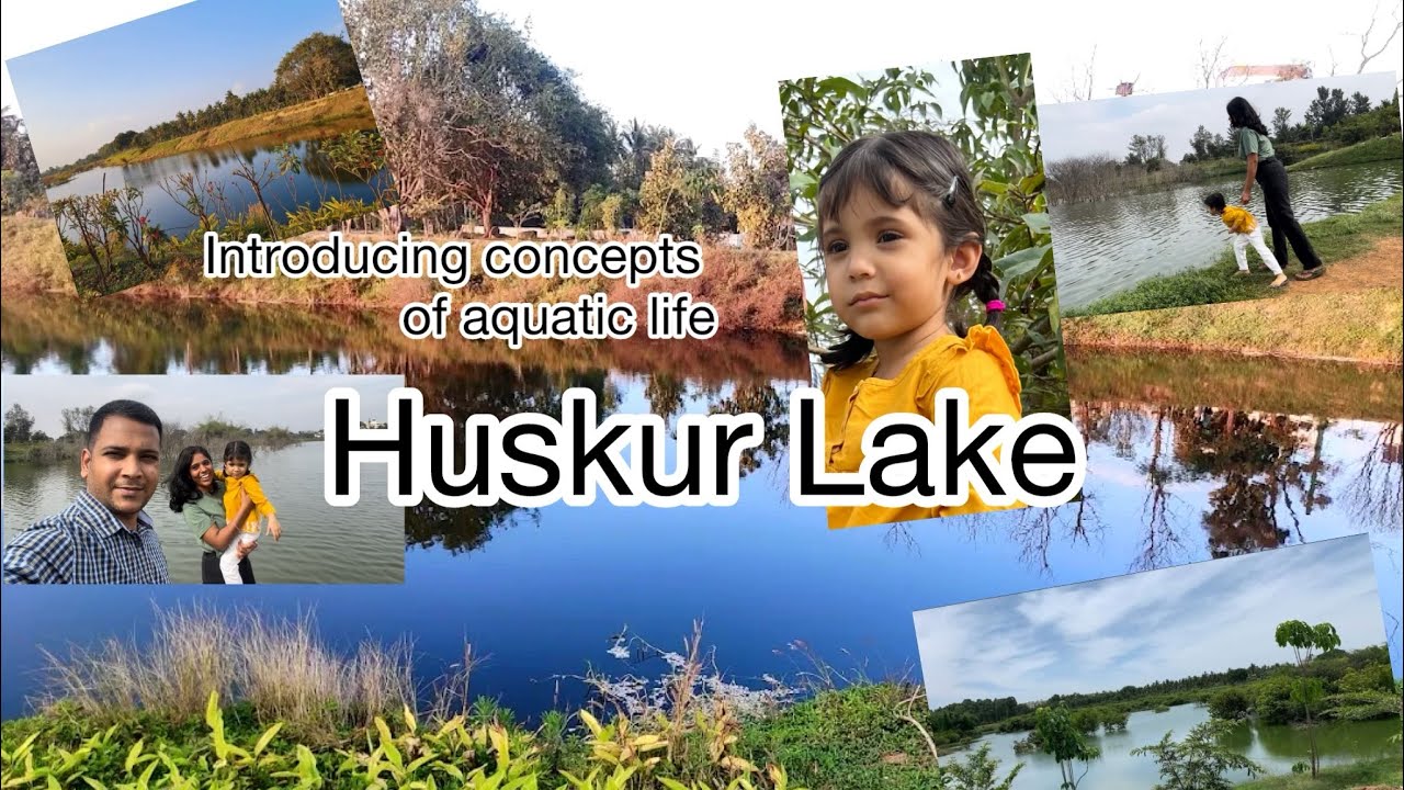 Huskur Lake—Lets introduced your child with Aquatic Life🐟🐟🐟🐠🐠🐡🍤 - YouTube