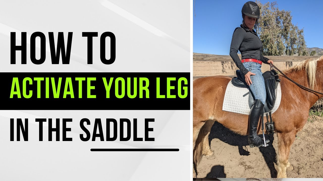How to Activate your Leg and Hip muscles in the Saddle - YouTube