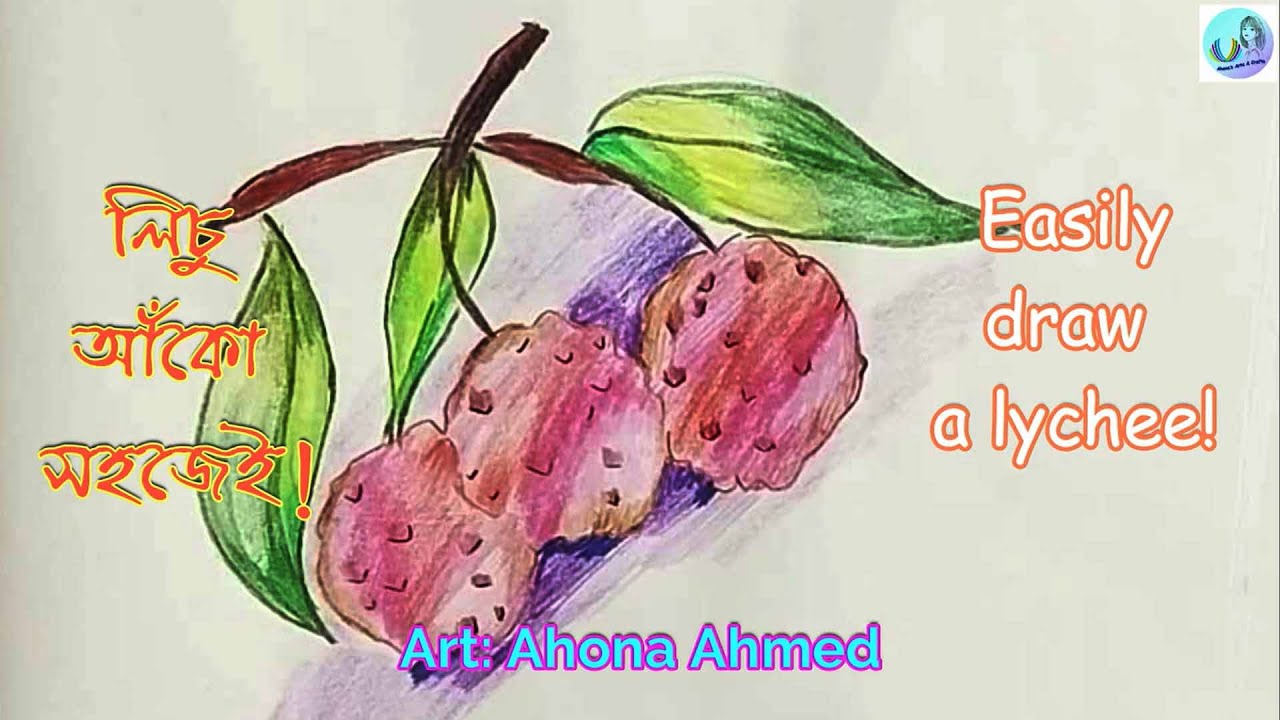 Easily Draw a Lychee/ লিচু আঁকো সহজেই - YouTube