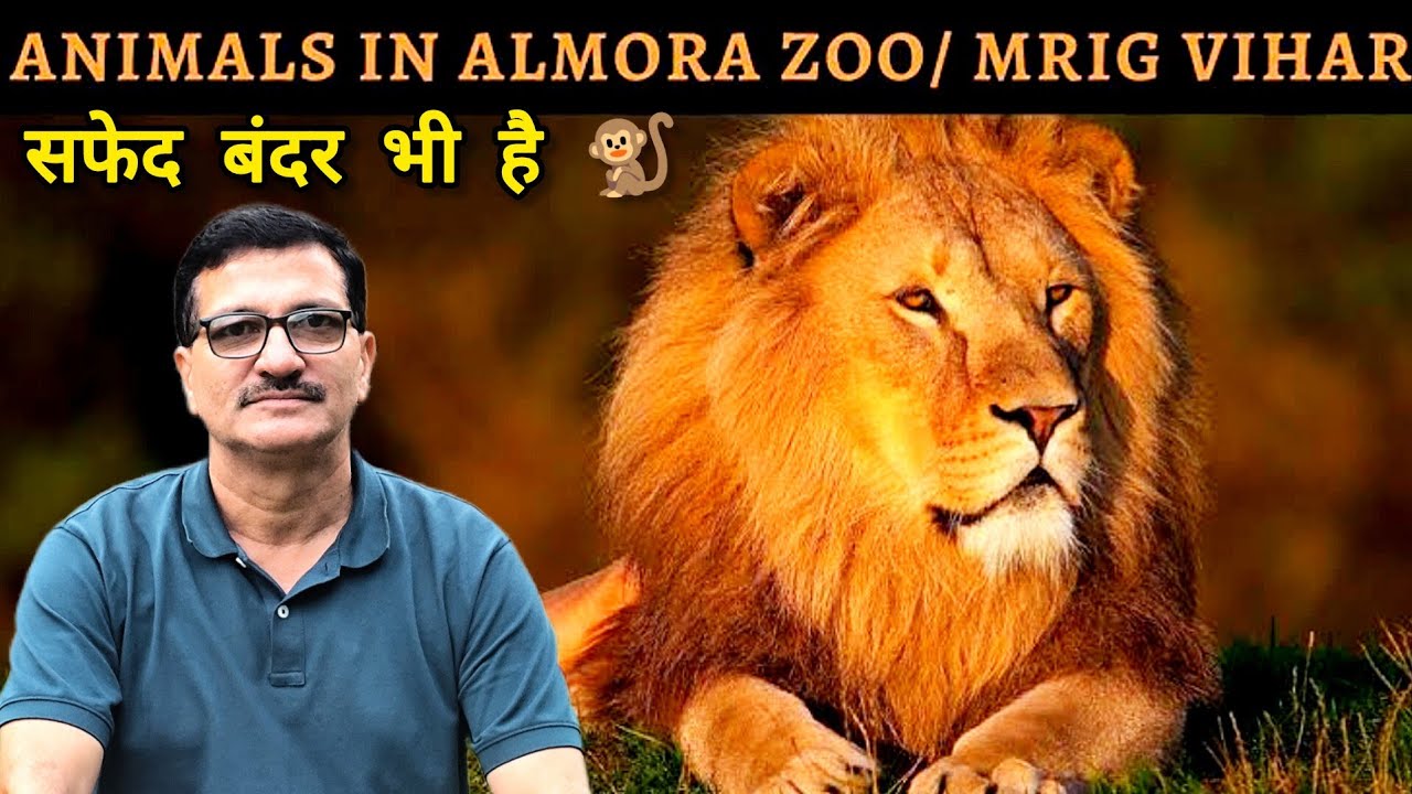 अल्मोड़ा का ऐसा चिड़ियाघर जहां तेंदुआ , भालू और बहरसिंगा ओर सफेद बंदर ...