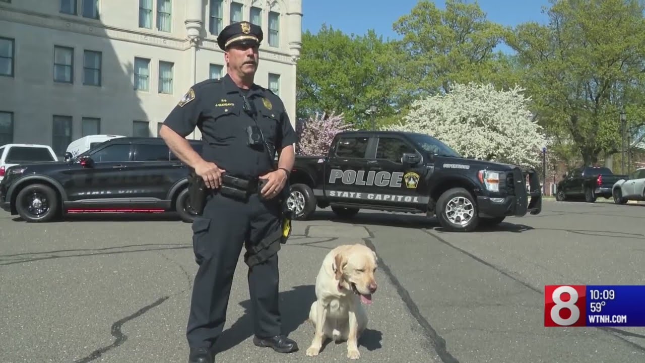K9 Broko honored in senate after sacrifice in line of duty - YouTube