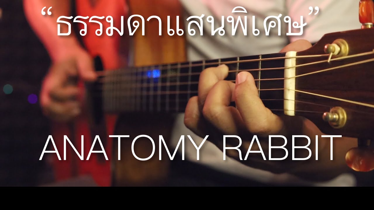 ธรรมดาแสนพิเศษ - ANATOMY RABBIT Fingerstyle Guitar Cover (TAB) - YouTube