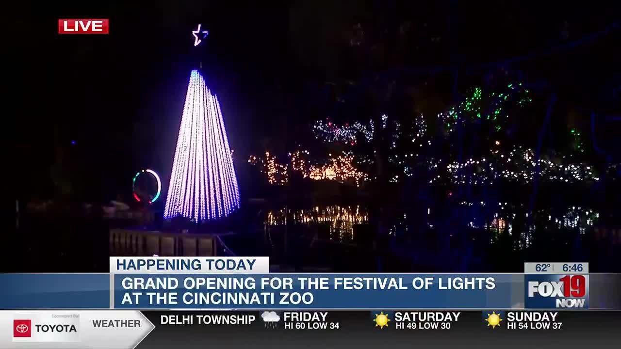 Grand opening for the Festival of Lights at the Cincinnati Zoo - YouTube
