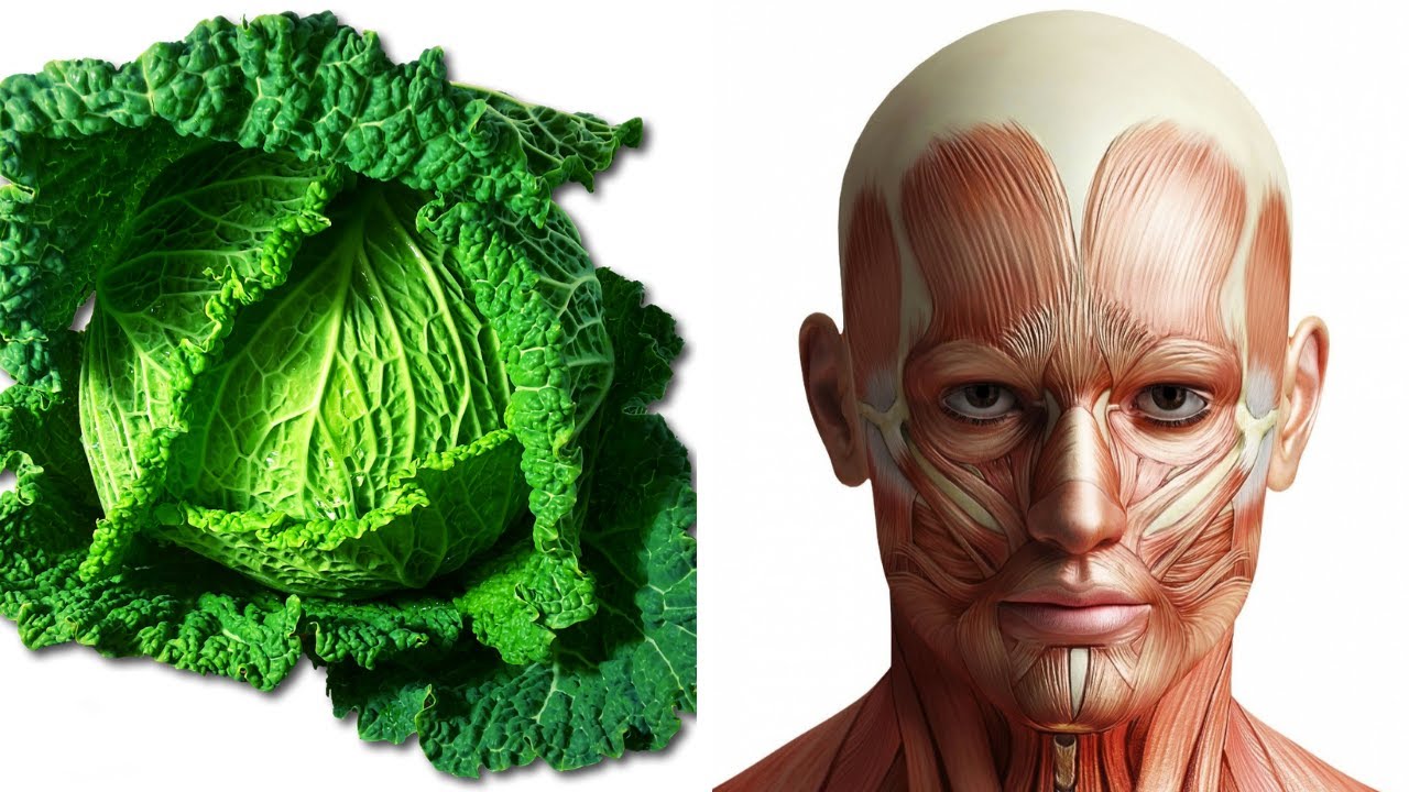 A Leaf a Week Keeps the Doctor Away: Exploring the Effects of Cabbage ...