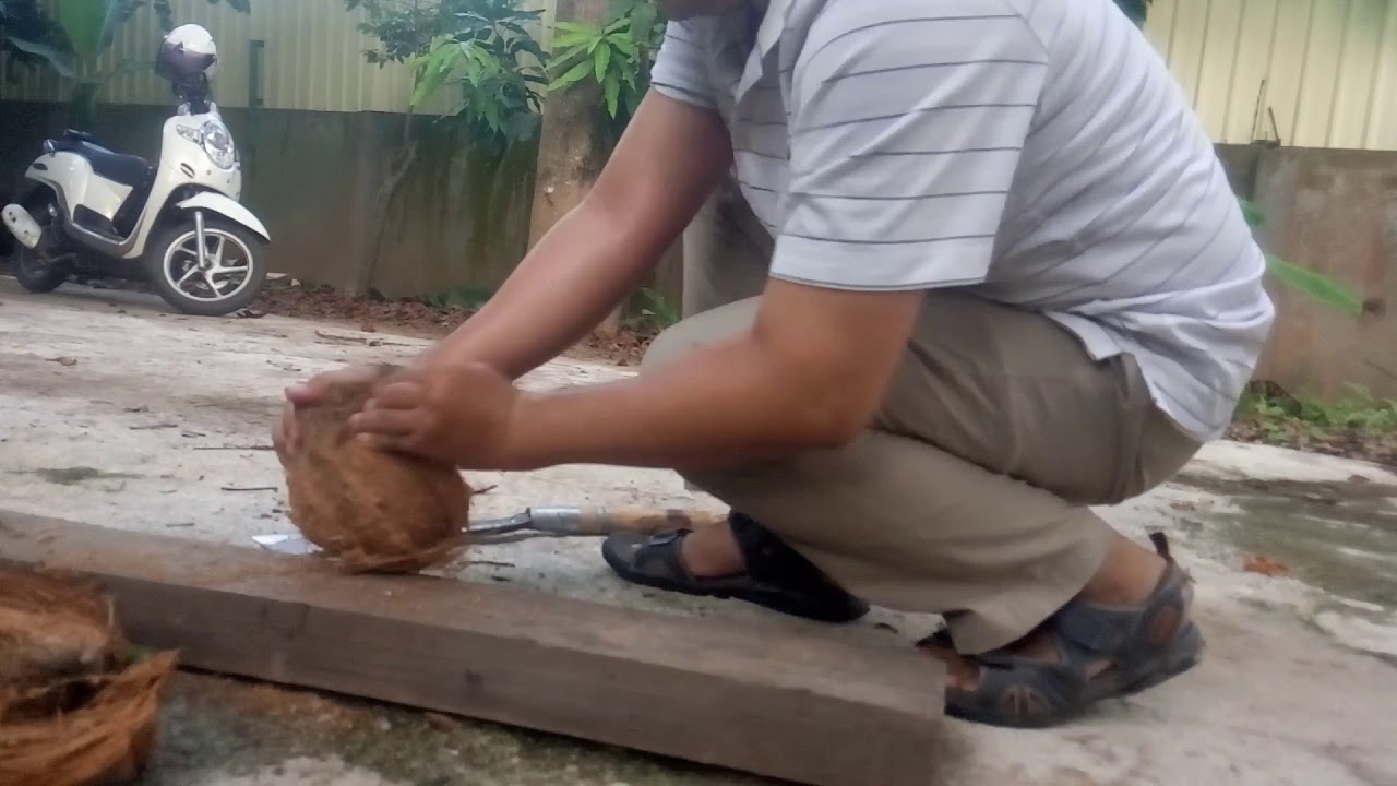 How to cut dried Coconut exocarp outer layer - YouTube