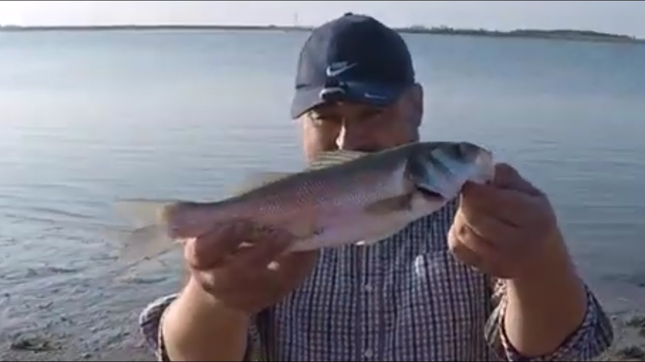 Camping & fishing on the River Crouch. - YouTube